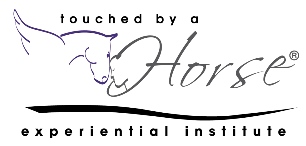 Equine Coaching Certification Program Details - Touched by a Horse